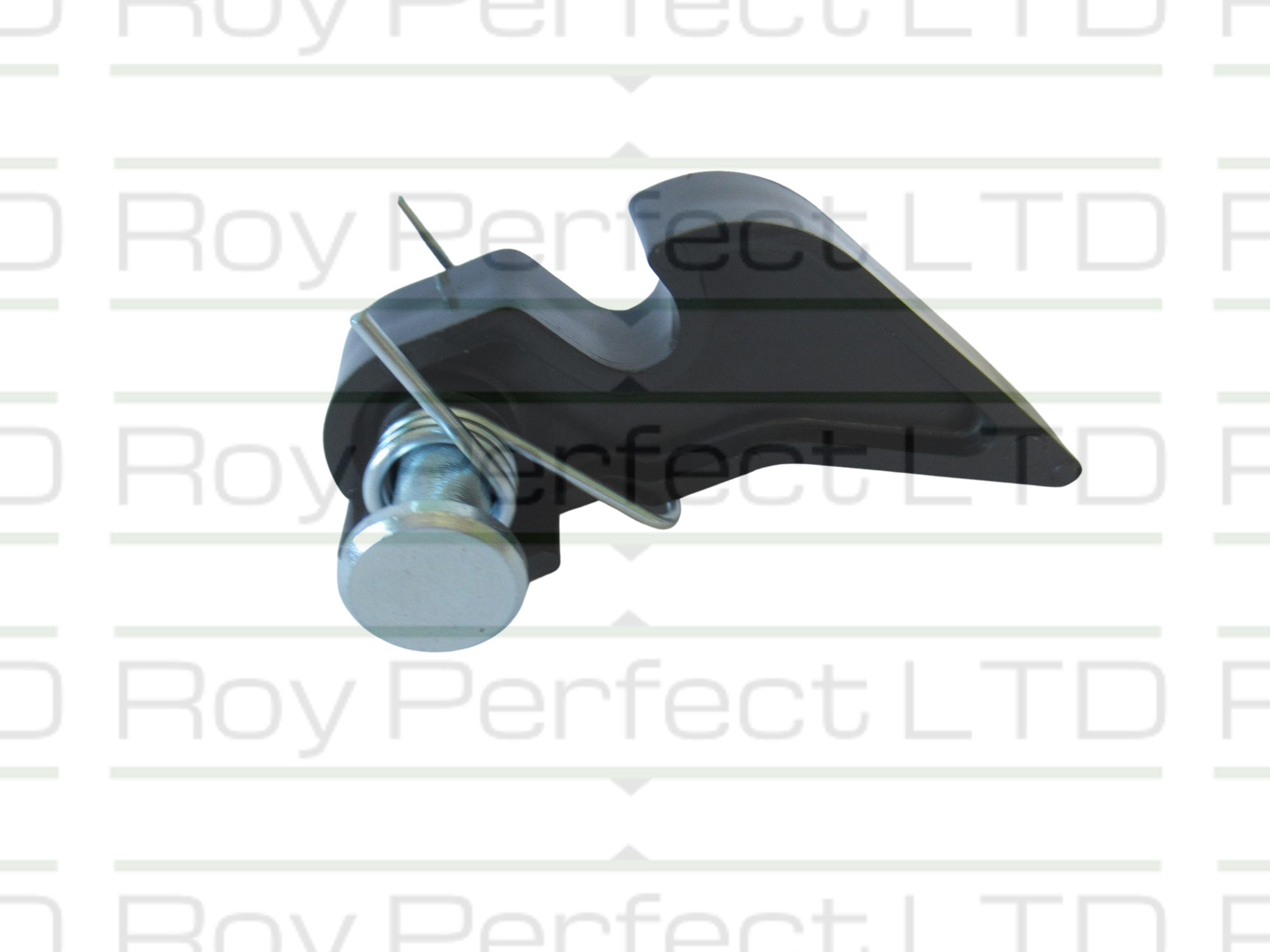 Rear Window Catch & Spring